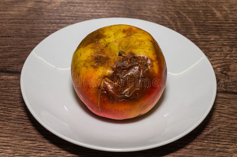 Red Rotten Spoiled Apple Isolated on White Stock Photo - Image of ...