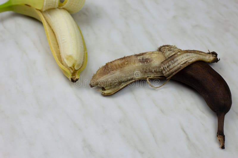 Rotten Spoiled Banana in Open Peel Next To Fresh Banana Fruit on White ...