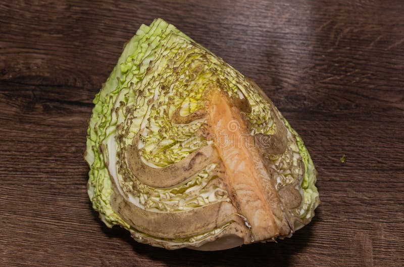 Rotten Spoiled Cabbage on the Table Stock Photo - Image of vegetable ...