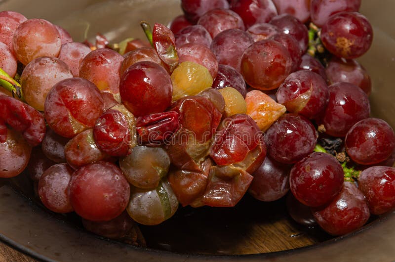 Rotten Spoiled Grapes on a Plate Stock Photo - Image of vegetable ...