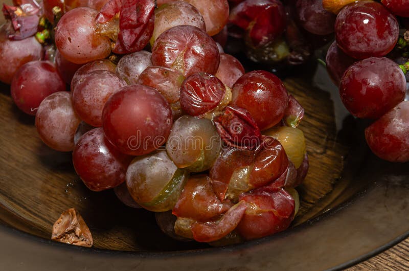 615 Rotten Grapes Stock Photos - Free & Royalty-Free Stock Photos from ...