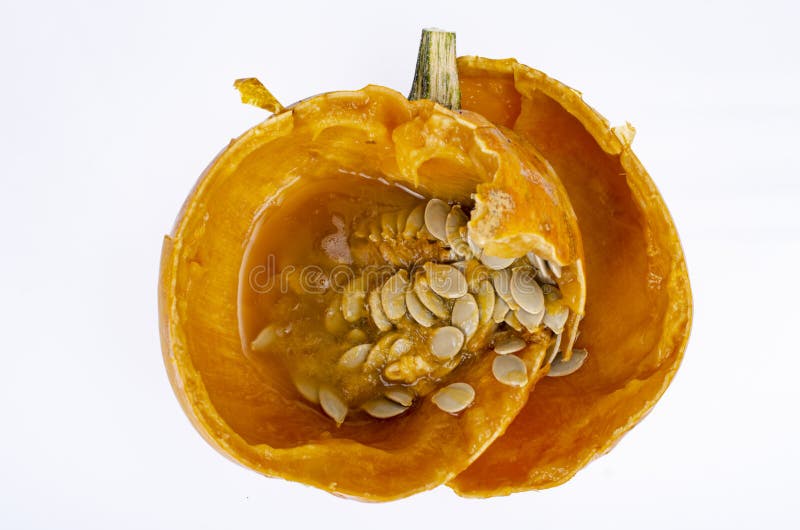 Rotten Spoiled Pumpkin with Seeds. Studio Photo. Stock Photo - Image of ...