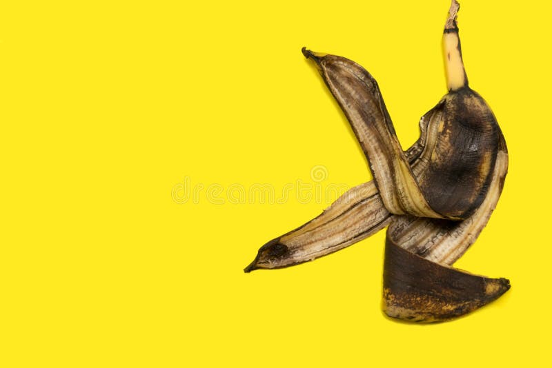 Rotten Spoiled Single Old Banana Isolated on a Yellow Background with ...