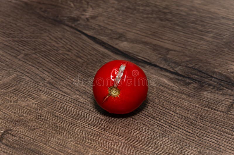 Rotten Spoiled Tomato on the Table Stock Image - Image of infection ...