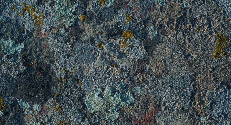 Rotten stone texture stock image. Image of structure - 229616101