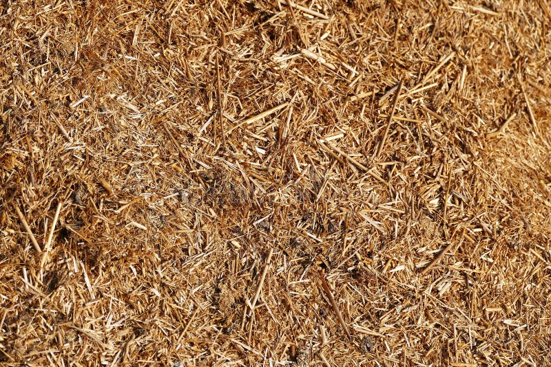 Rotten Straw and Wastes, Environmental Pollution Stock Photo - Image of ...