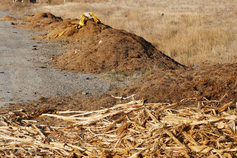 Plastic Waste Dumped in Agricultural Fields Stock Image - Image of ...