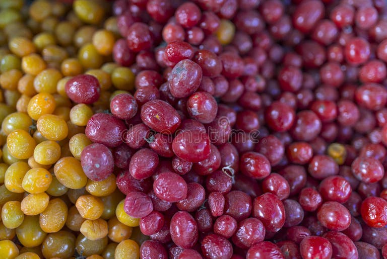 Rotten Tomato stock image. Image of dried, fruit, rotten - 34063929