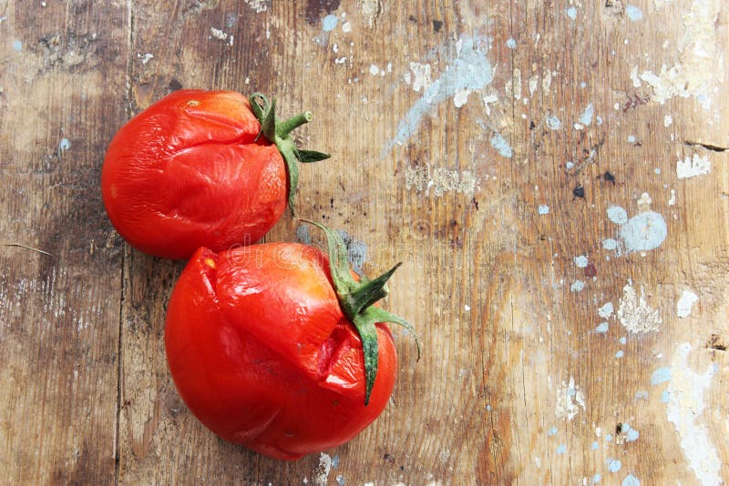 Rotten tomato stock photo. Image of food, rotted, healthy - 67746902