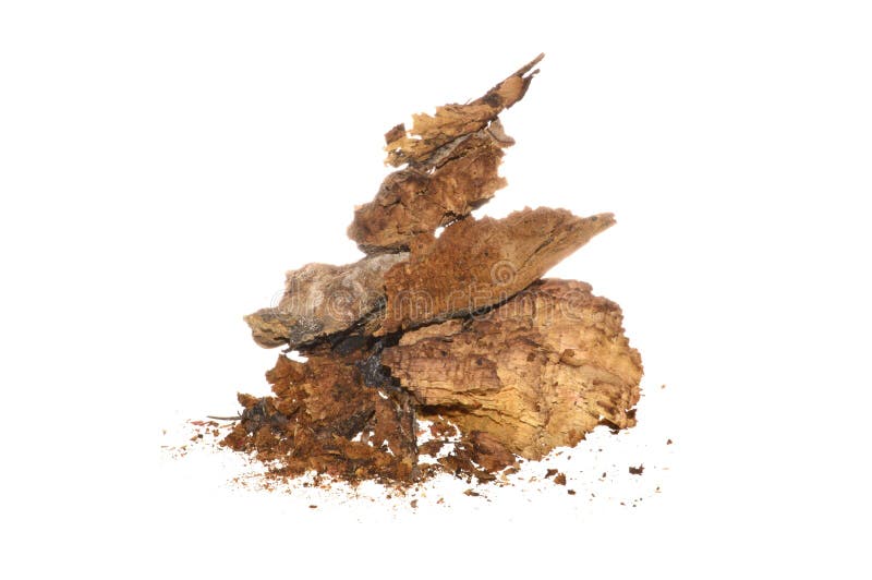 532 Rotten Fire Stock Photos - Free & Royalty-Free Stock Photos from ...