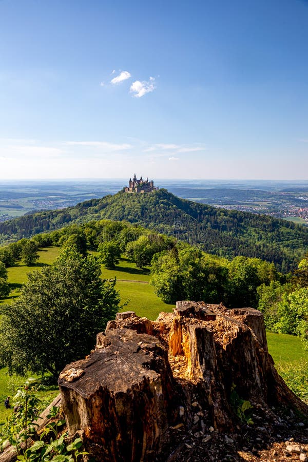 Rotten Tree Stump in Front of Hohenzollern Castle in Spring Stock Photo ...