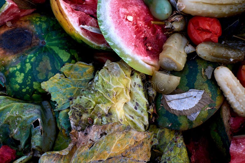 Rotten Vegetables and Berries Thrown in the Trash Stock Photo - Image ...