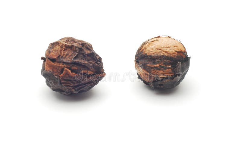 Rotten walnuts stock photo. Image of walnuts, nature - 27331870