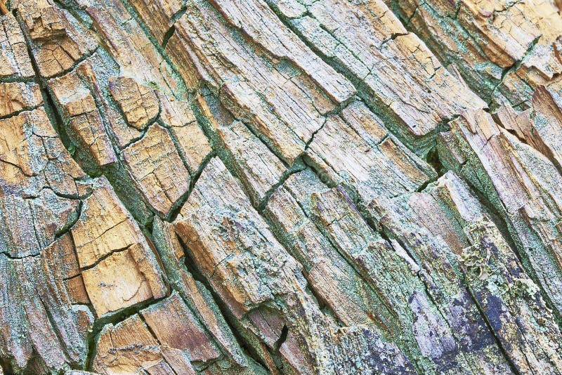 Rotten wood stock photo. Image of damaged, aging, shape - 52865458