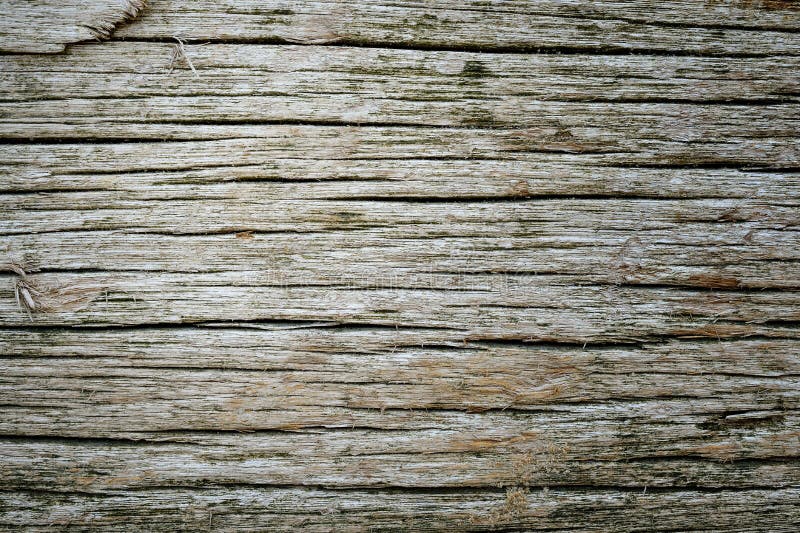 Old Rotten Wood Texture, Dark Natural Background - AI Generated Image ...