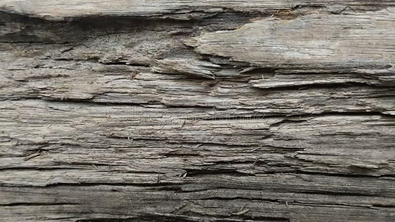 Rotten wood stock video. Video of material, plank, hole - 355720103