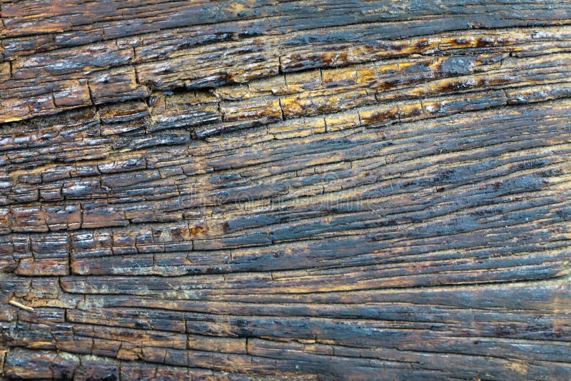 Rotten Wood, Wood Decay, Old Wooden Pattern Stock Image - Image of tree ...