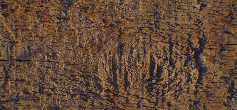 Rotten wood texture stock photo. Image of wooden, surface - 216096318