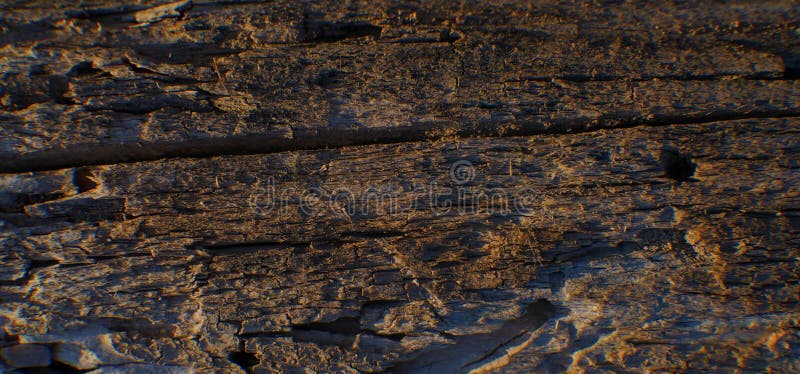 Rotten wood texture stock image. Image of wooden, tree - 216097835