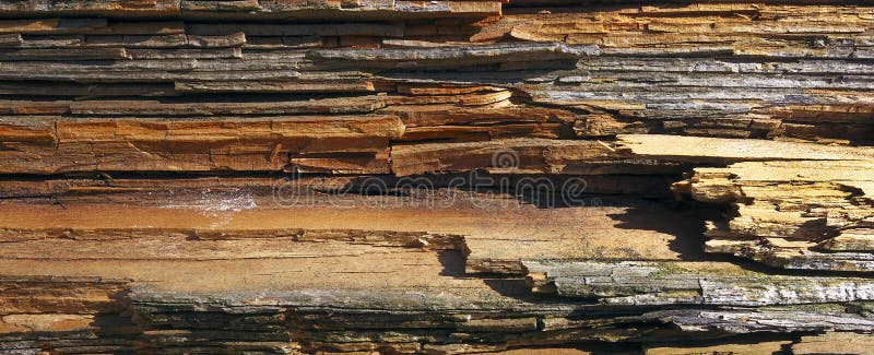 Rotten wood. stock image. Image of decompose, rotten - 112193669