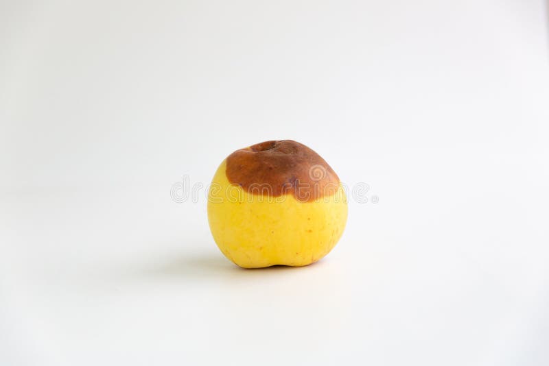 Rotten Yellow Apple Isolated on White Background Stock Image - Image of ...
