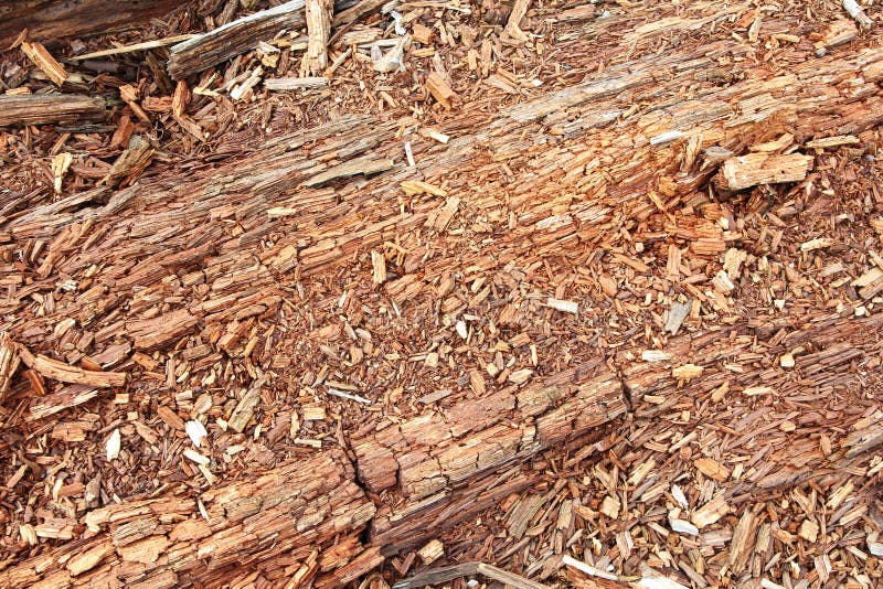Rottende Houten Achtergrond Stock Foto - Image of versleten, textuur ...