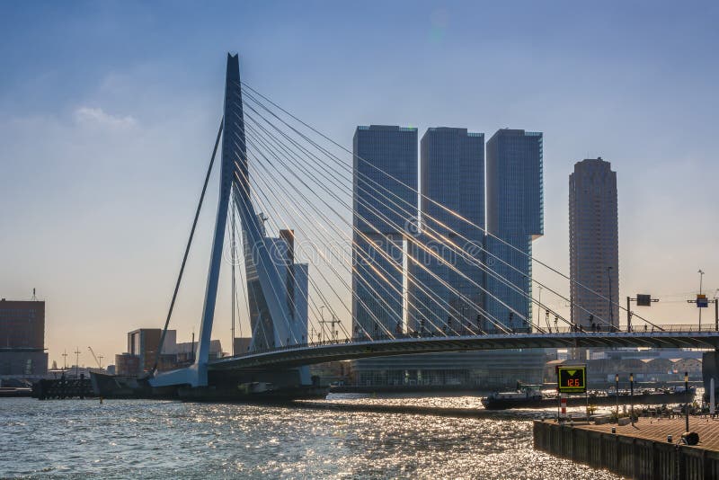 Rotterdam, Bridge: De Erasmusbrug Editorial Stock Image - Image of ...