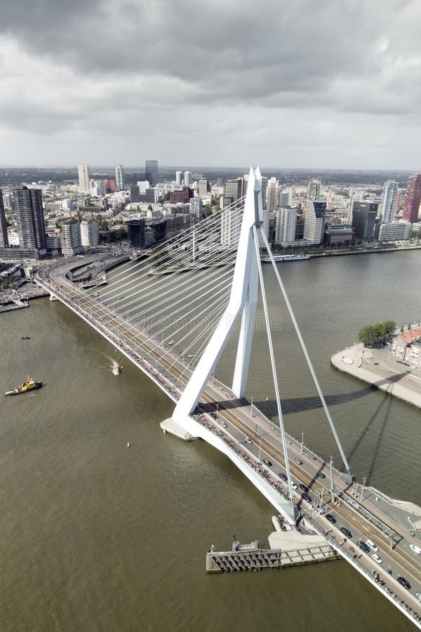 Rotterdam Erasmus bridge editorial photography. Image of metropolis ...