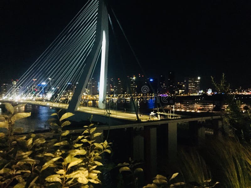 Rotterdam Erasmusbrug Night Time Stock Image - Image of landscape, cars ...