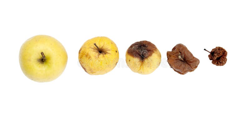 Phases Rotting Yellow Apple Stock Photos - Free & Royalty-Free Stock ...