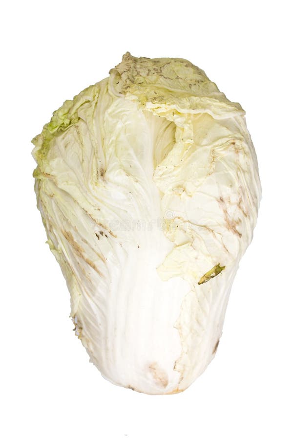 Rotting cabbage on white stock photo. Image of food, vegetable - 67096888