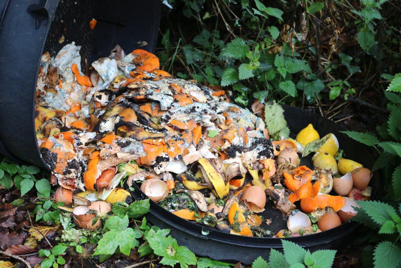 Rotting compost stock image. Image of garbage, vegetable - 163878209