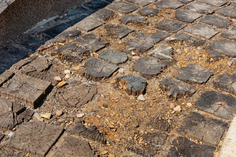 Rotting and Crumbling Wood on a Garden Path. Logs on the Ground Surface ...