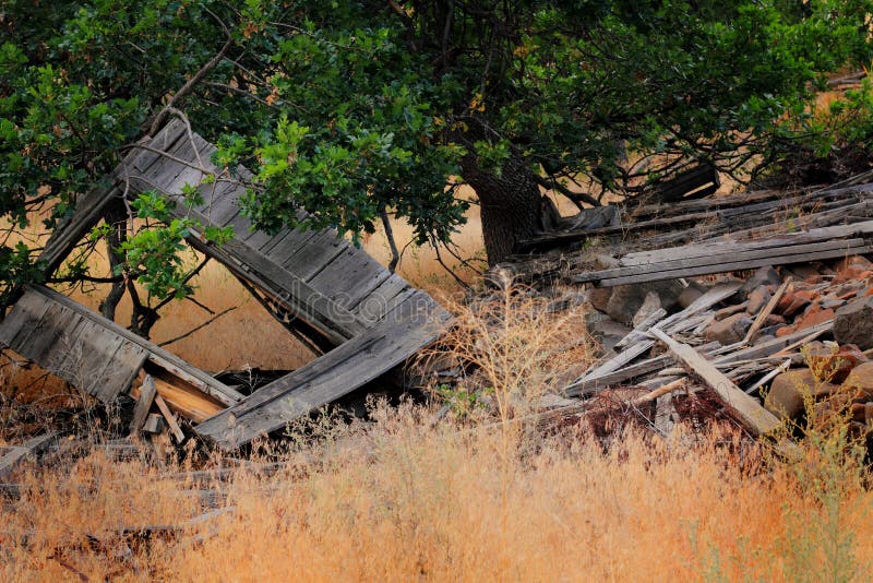 260 Rotting Wood Pile Stock Photos - Free & Royalty-Free Stock Photos ...