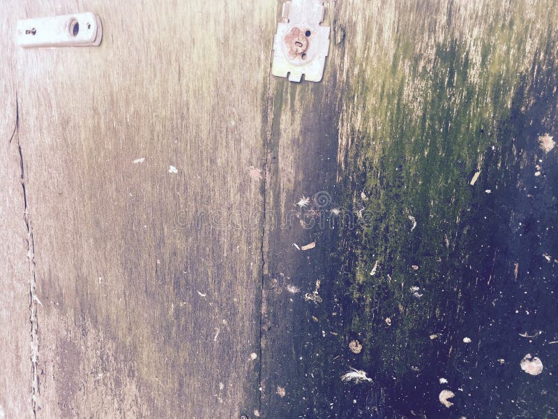 Rotting Door in Its Degrading Process Stock Image - Image of process ...