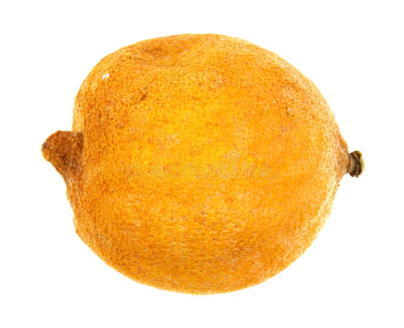 Rotting lemon stock image. Image of rotting, lemon, drying - 34828949