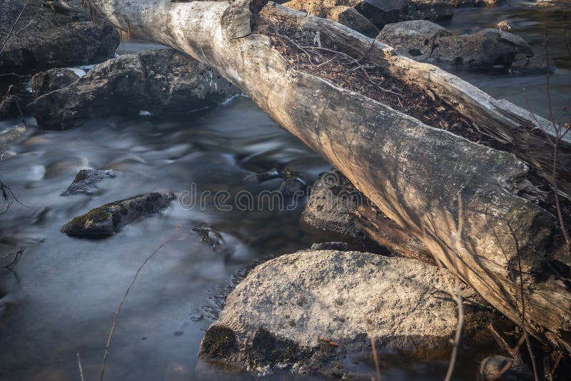 Rotting Log Over Moving Water Stock Image - Image of creek, landscape ...