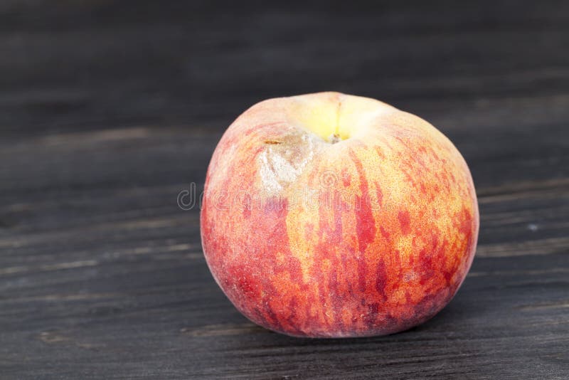 Rotting peach stock photo. Image of garbage, eating - 125114322