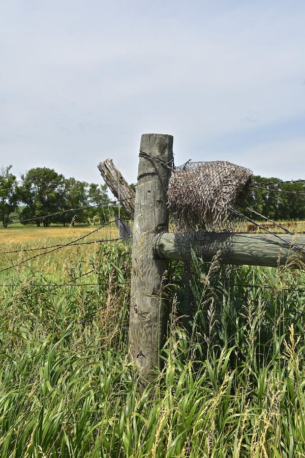 Corner Fence Post with Stock Fence Stock Image - Image of brace ...