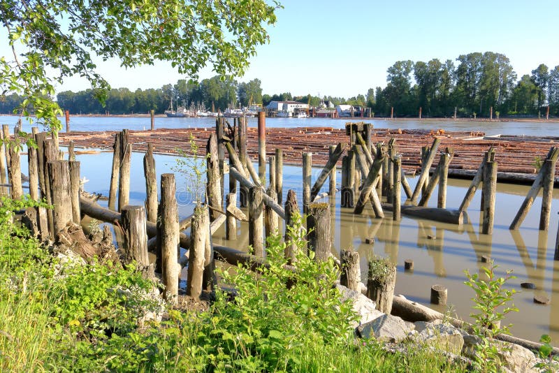 469 Dock Pylons Stock Photos - Free & Royalty-Free Stock Photos from ...