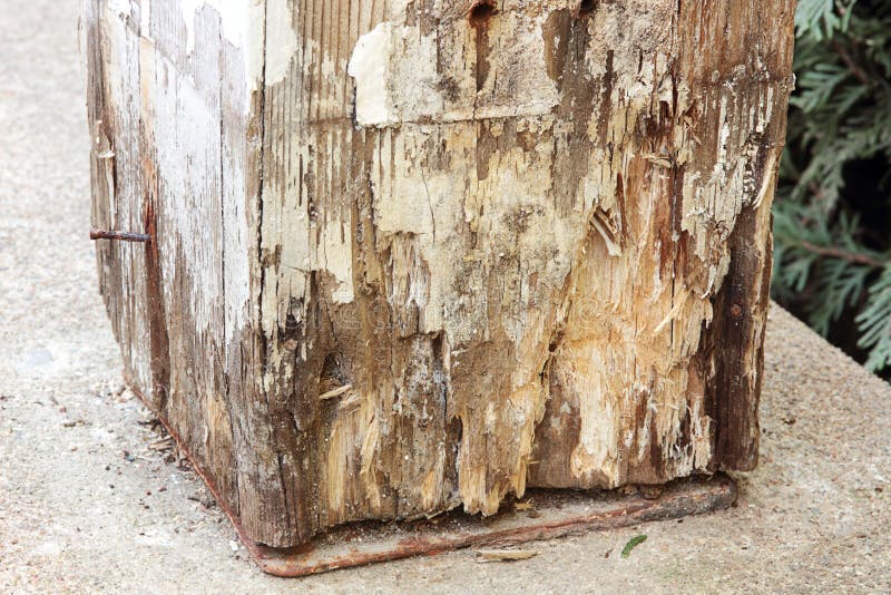 Rotting railing wood stock photo. Image of outside, veranda - 97049466