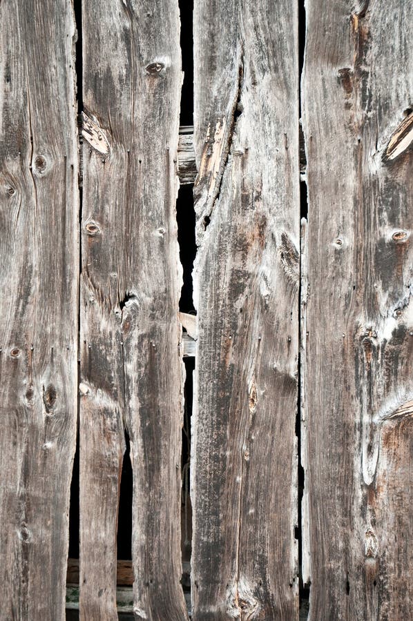 Rotting wood stock image. Image of wood, macro, background - 793075