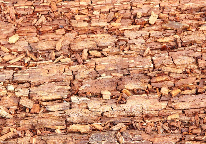 Rotting wood stock image. Image of decay, pattern, material - 34260671