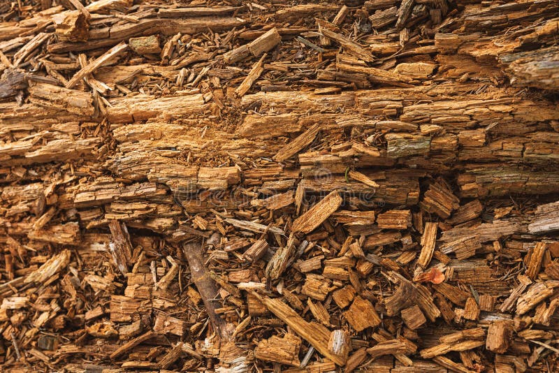 Rotting Wood, Texture of the Old Spoiled Wood Stock Image - Image of ...