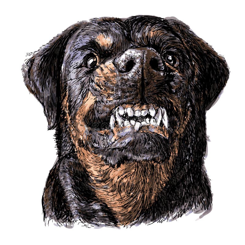Image of Angry Rottweiler Dog Mascot Logo. Malicious Sentry Dog in a ...