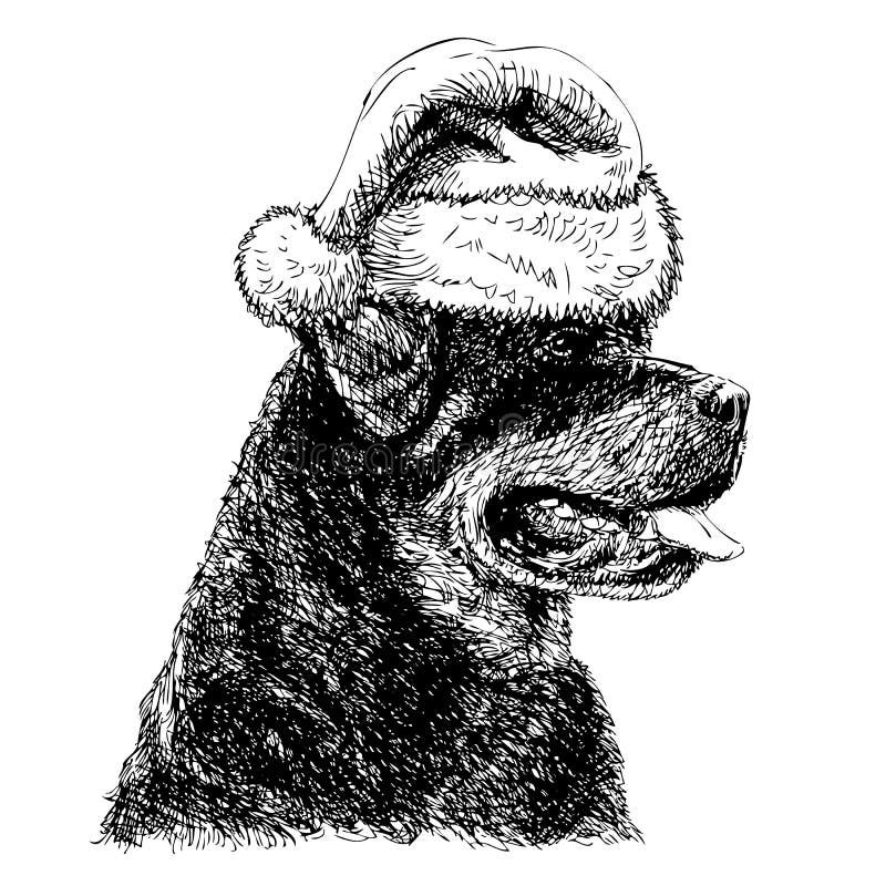 Rottweiler Christmas Stock Illustrations – 83 Rottweiler Christmas ...