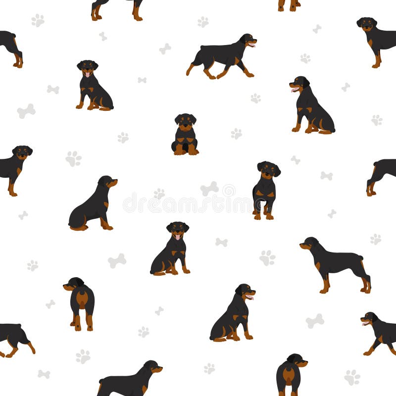 Rottie Seamless Background Stock Illustrations – 6 Rottie Seamless ...