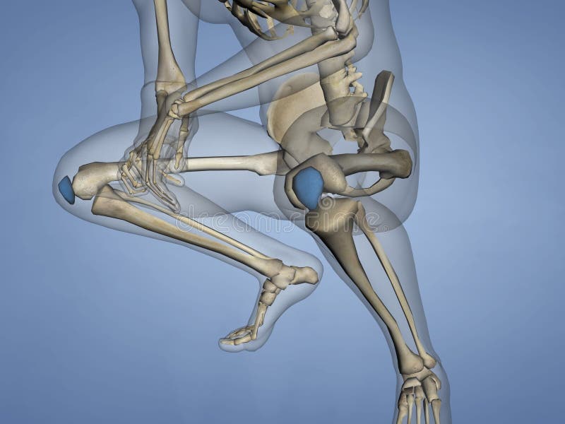 Rotule Stock Illustrations, Vecteurs, & Clipart – (2,019 Stock ...