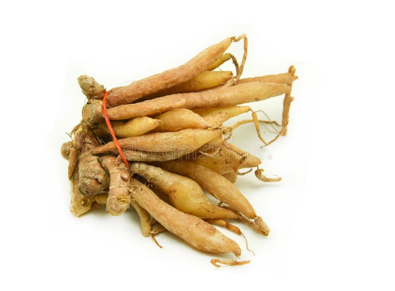 Boesenbergia Rotunda Kaempferia Cochinensis Gagnep Curcuma Rotunda ...