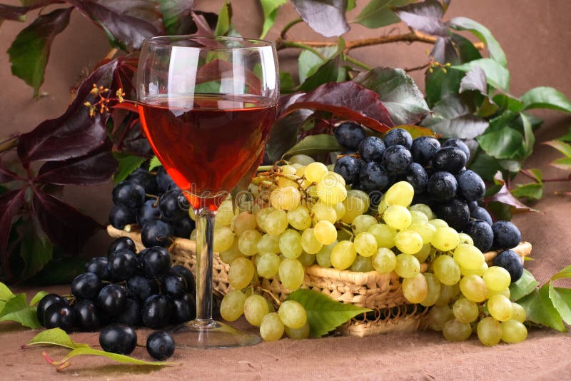 Rotwein des Weinaufbaus stockbild. Bild von landwirtschaftlich - 3541349